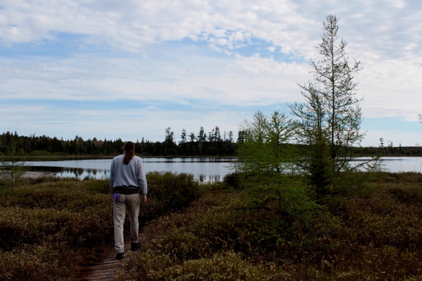 Celebrating 50 Years of Wilderness Protection – The BeZine