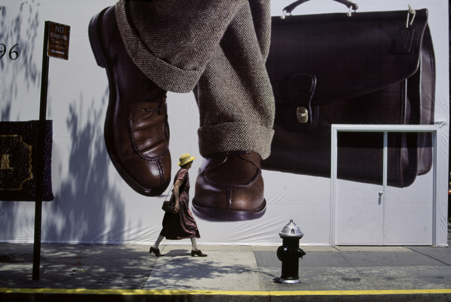 Step by Step – The BeZine