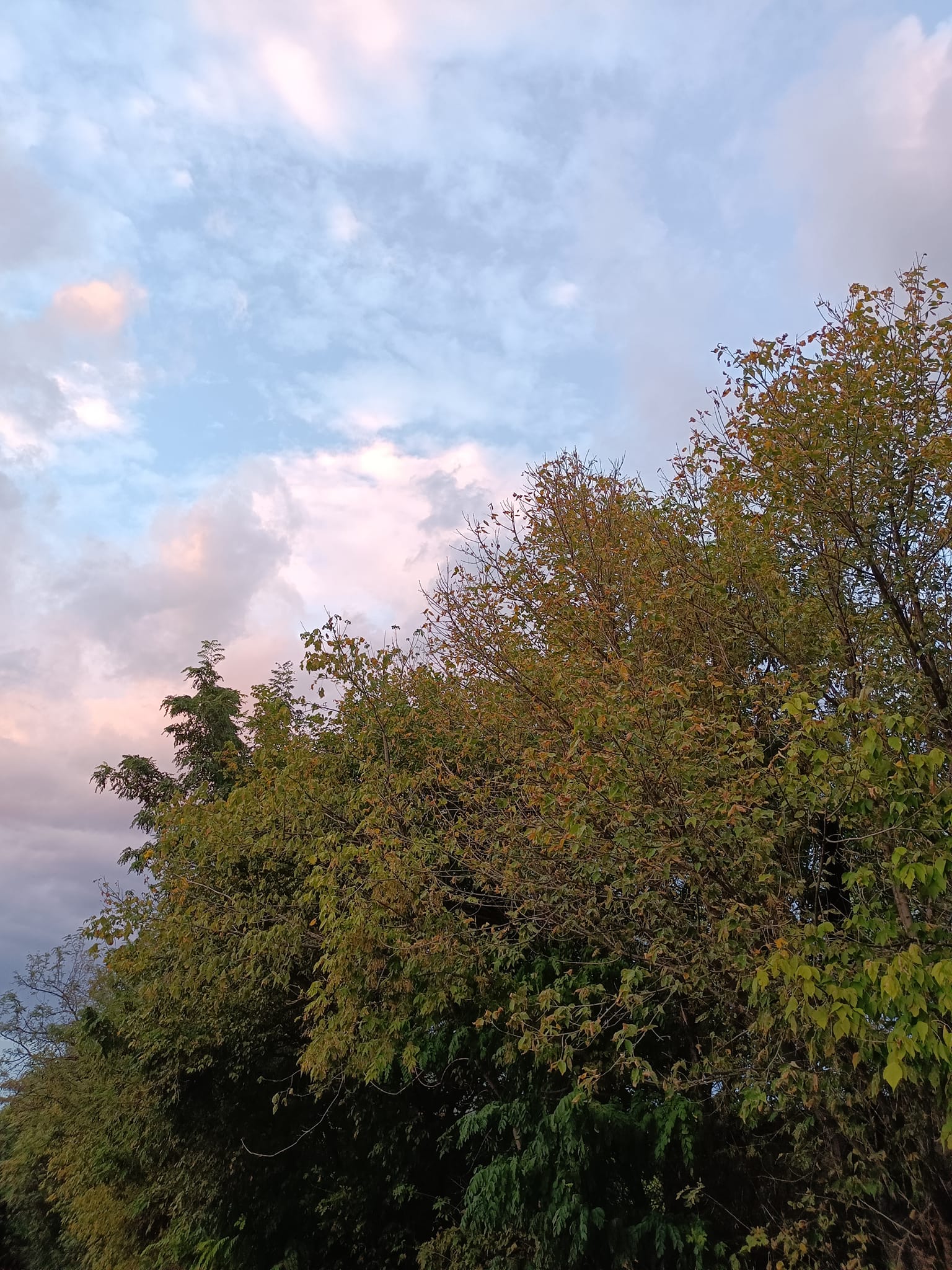 The Spirit of Change | Alison Stone – The BeZine
