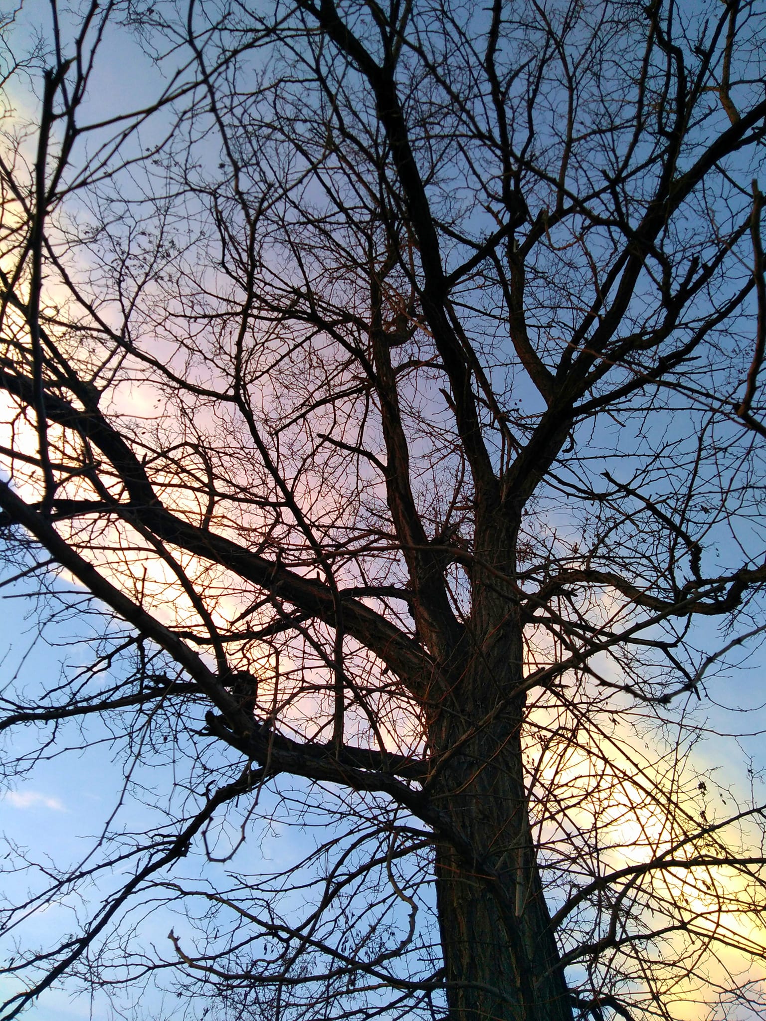 This Gratitude News | Paul Hostovsky – The BeZine