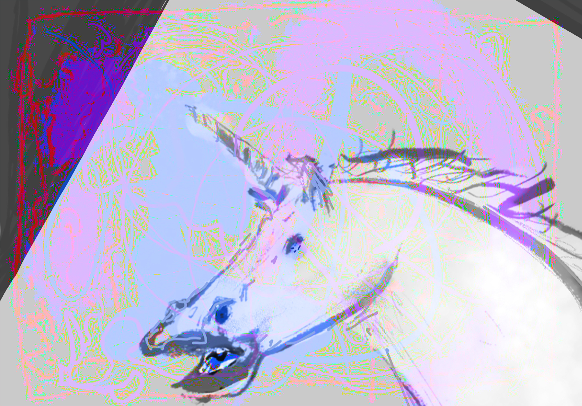 Unicorn Diasporic Birdwatching | Gili Haimovich – The BeZine