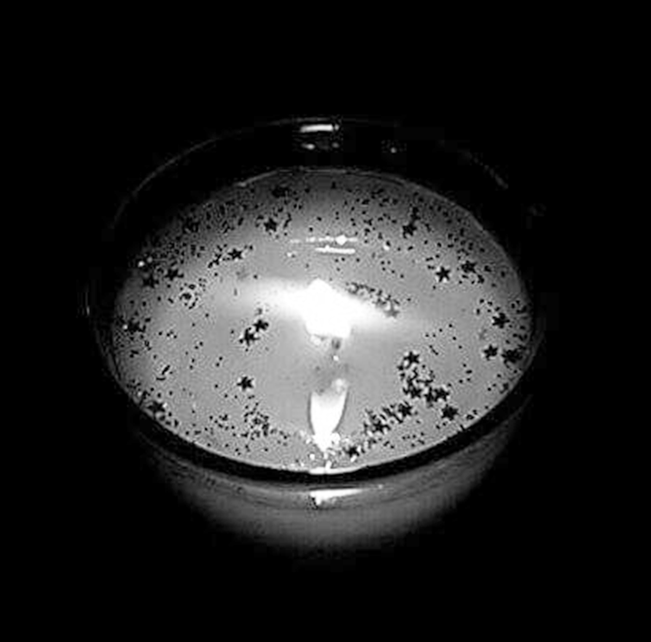 Homeless Chains | Jordan Freeman – The BeZine